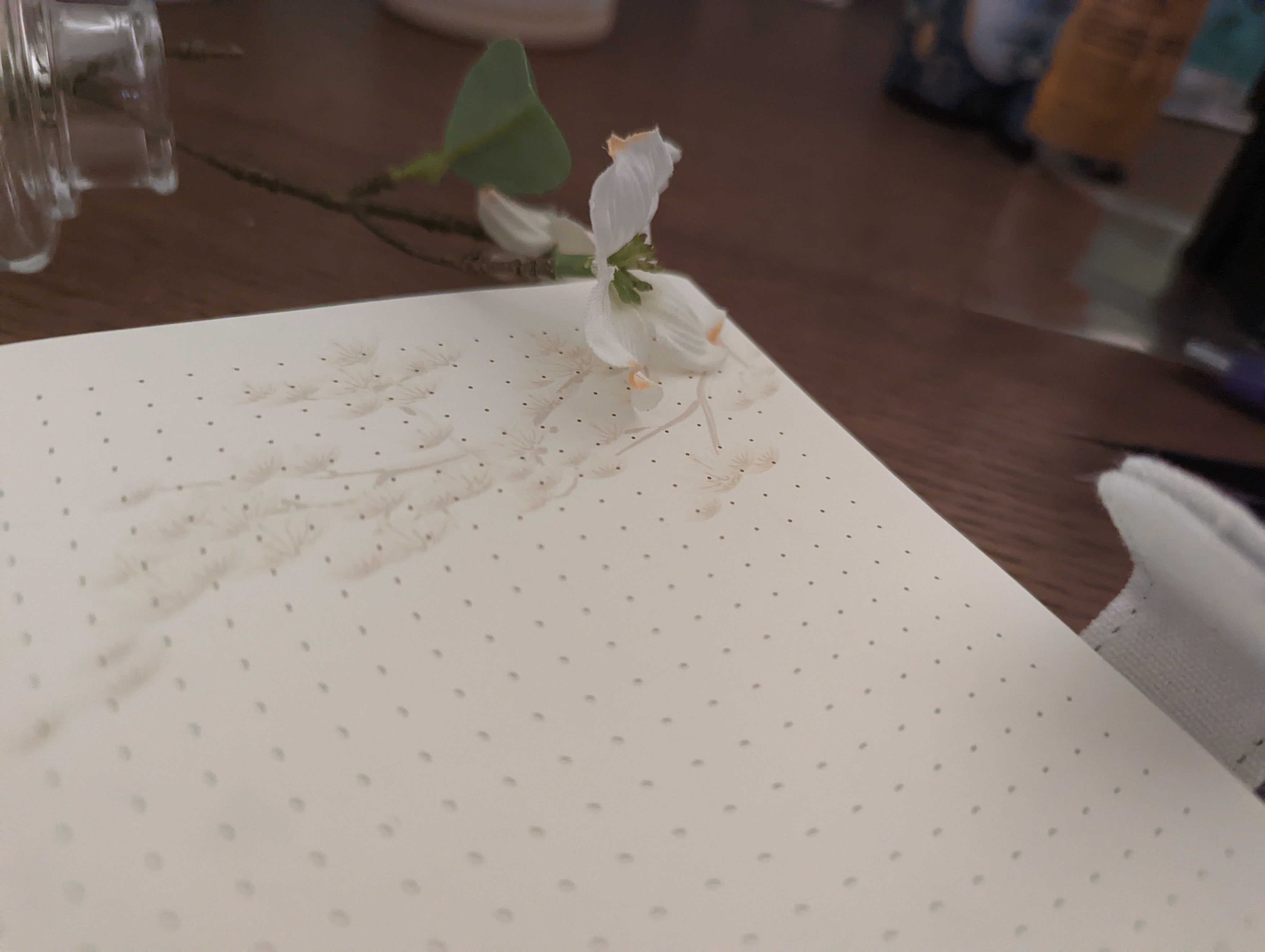 20 Ideas to Fill Up Your New Journal